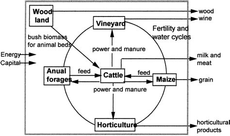 Farming System Of The ValencË A Lcp Area Coelho Et Al 1996 Download Scientific Diagram