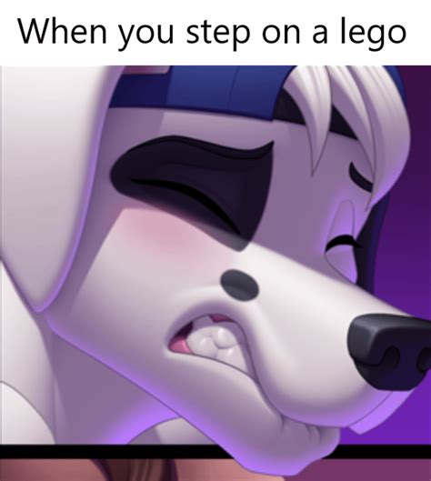 Cropped Yiff 4 Rfurrymemes
