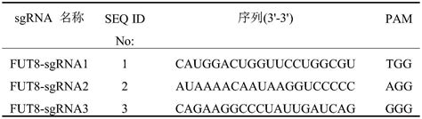 定点同步敲入和敲除基因的抗凋亡细胞改造方法及其应用与流程