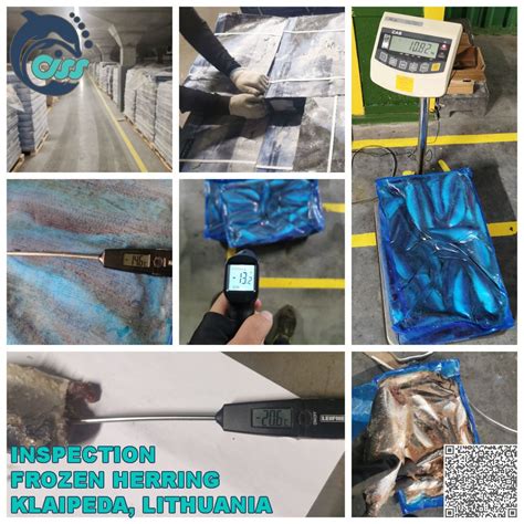 Inspection Survey Import Export Insurance Test Lab Certificate