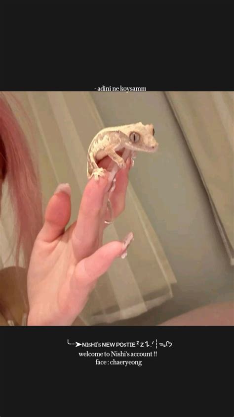 𝓝ɪsʜɪ᪲᪲ Sonpin Adlı Kullanıcının Sizin Pinleriniz Panosundaki Pin