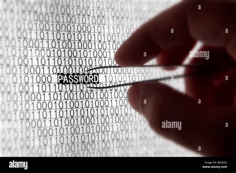 computer lcd monitor with binary code and password text great concept