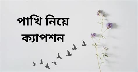 ফেসবুক কমেন্ট বাংলা অসাধারণ প্রশংসনীয় কমেন্ট Bangla Msg