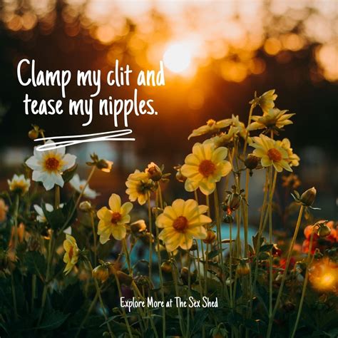 How To Put On A Clit Clamp And How To Use One The Sex Shed