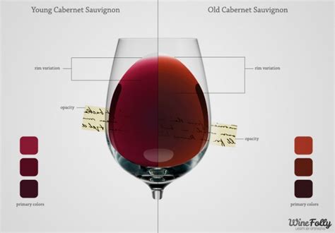 Learn The Secrets Of Each Red Wine Color Wine Folly