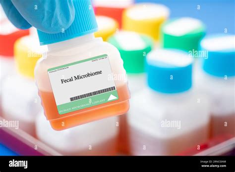 Fecal Microbiota Transplant Fmt Also Known As A Stool Transplant Is