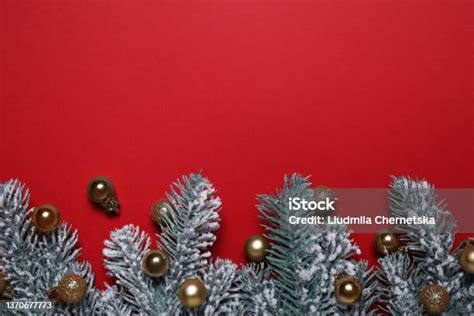 빨간 배경에 황금 장식이있는 크리스마스 나뭇 가지 평평한 평지 텍스트 공간 0명에 대한 스톡 사진 및 기타 이미지 0명 12월 겨울 Istock