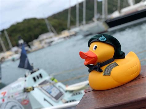 Tame The Kraken On Linkedin 🚣‍♂️ Calling All Corporate Leaders And Community Champions Tame The…