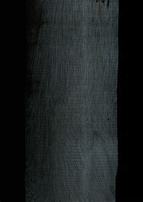 Wood Defect Classification Dataset By Fyp