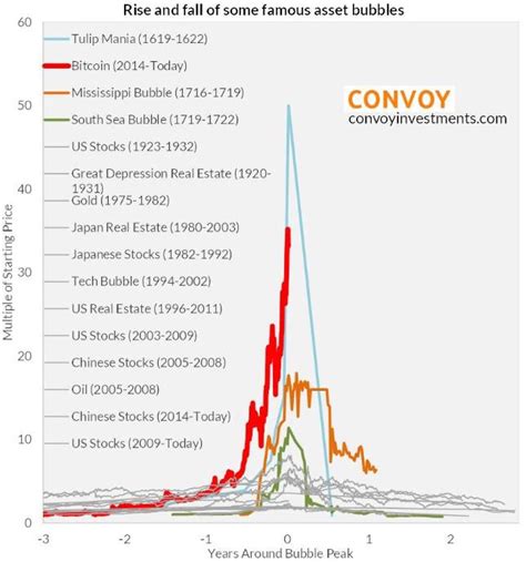 True Economics 201117 Bitcoin An Unknowable Bubble