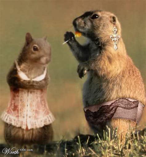 صور بنات بملابس داخليه وإثاره لاتنتهي