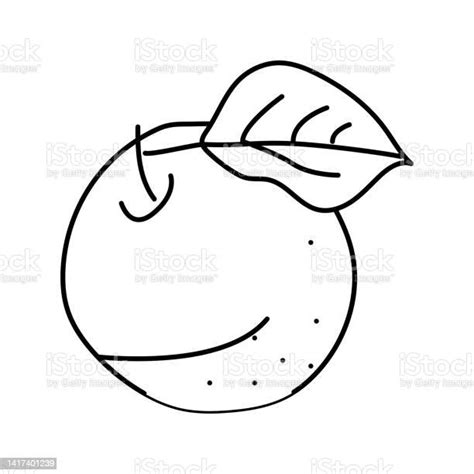 녹색 잘 익은 사과 과일 라인 아이콘 벡터 일러스트 레이 션 0명에 대한 스톡 벡터 아트 및 기타 이미지 0명 가을 과일
