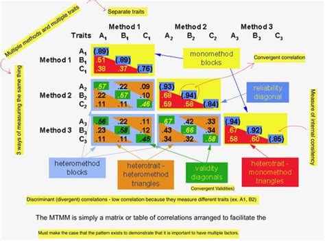 629 Multitrait Multimethod Matrix Flashcards Quizlet