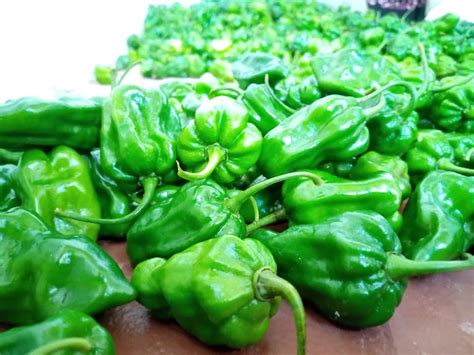 නයි මිරිස් විකිණීම හා මිලදී ගැනීම