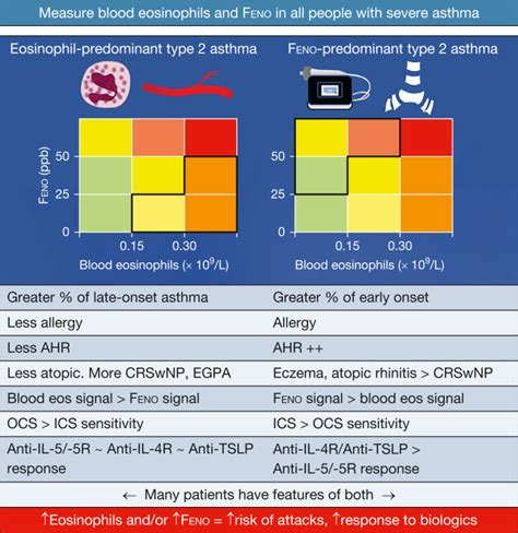 Choosing The Right Biologic For The Right Patient With Severe Asthma Pmc