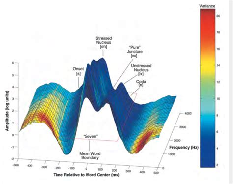 Speech Rhythm And The Brain Steven Greenberg Acoustics Today