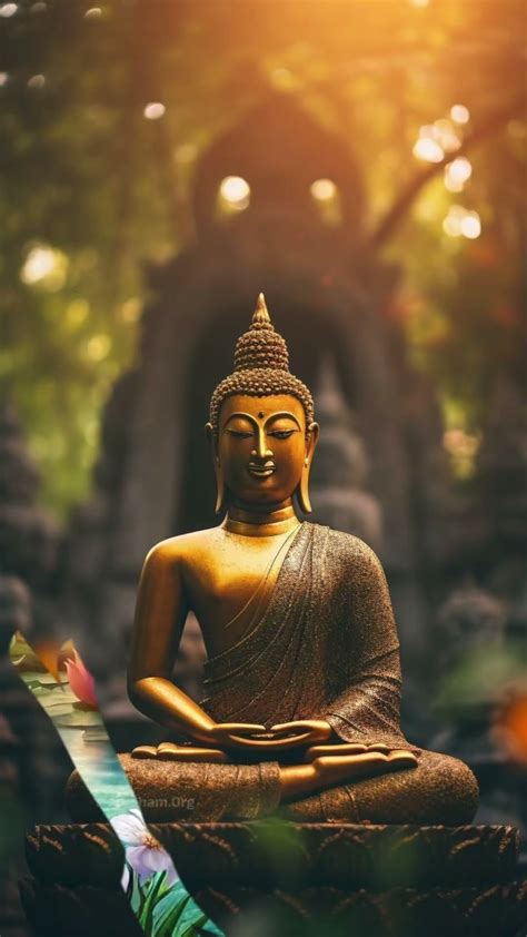 බුදු හාමුදුරුවෝ අපිත් දකිනැති Budu Hamuduruwo Bodubathigee Buddha Shorts Buddhiststatue