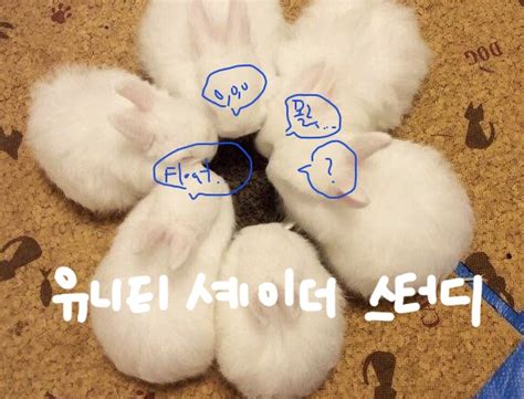 유니티 Urp 셰이더 그래프 Lit Shader Graph 사용해보기2