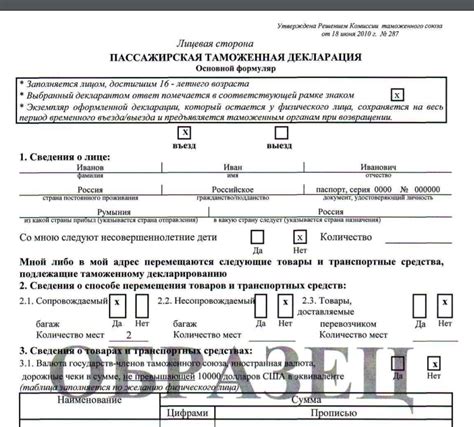 Заявление о ввозе сроки подачи 2024 79 фото