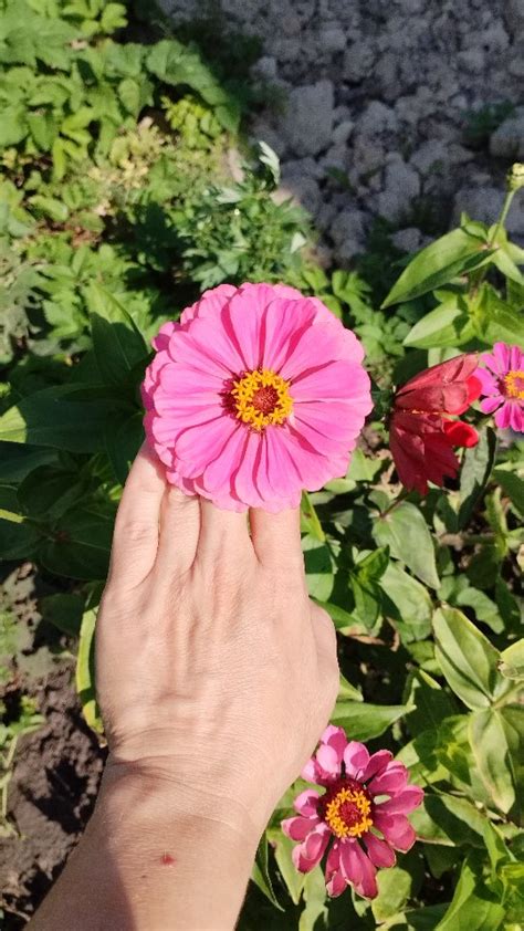 Катя самый добрый блогер Концовка 🔥 Мама курочка 🤭🤣😅 Решила с вами поделиться 🤣 Нашла на