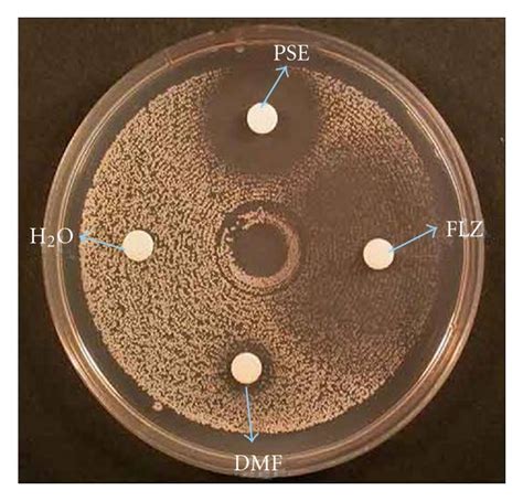 Agar Diffusion Assay Of Effect Of Pseudolaric Acid B On C Albicans