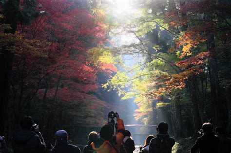 紅葉の小国神社 GANREF