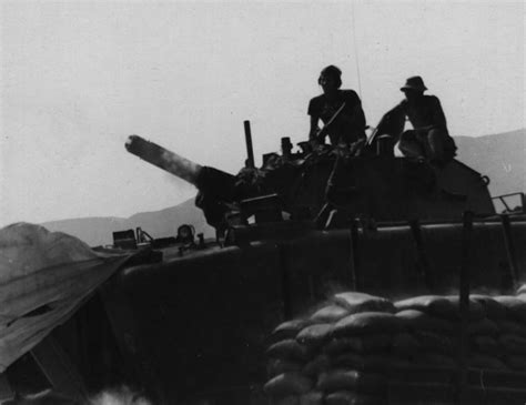 Vehicle I D Lvtp 5 Lvtr 1 Lvte 1 Lvth 6 Blind Bat News