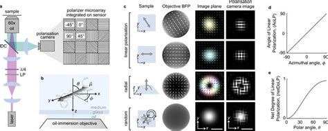 Single Molecule Imaging Using A Polarization Camera A Schematic Of