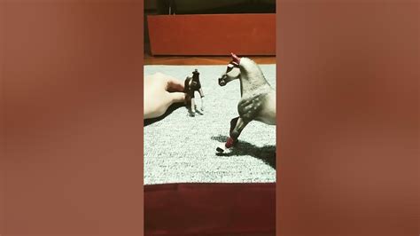 𝓽̌𝓾𝓴 𝓽̌𝓾𝓴 Vtipy Schleich Youtube