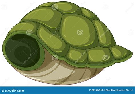 A Turtle Shell With Detailed Texture Stock Vector Illustration Of Armor Reptile