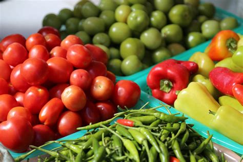 ЦӨЛЖИЛТТЭЙ ТЭМЦЭХ ДЭЛХИЙН ӨДРИЙН ХҮРЭЭНД ИРЭХ 10 ЖИЛИЙН НӨХӨН