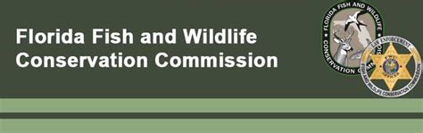 Florida Fish Wildlife
