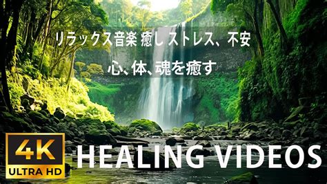 Relaxing Music Healing Stress