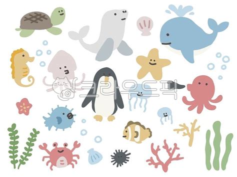 거북이 고래 바다 일러스트 그림 사진이미지일러스트캘리그라피 Samchom작가