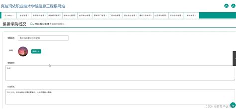 克拉玛依职业技术学院信息工程系网站 jsp java springmvc mysql mybatis csdn博客
