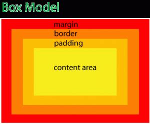 CSS BOX Model