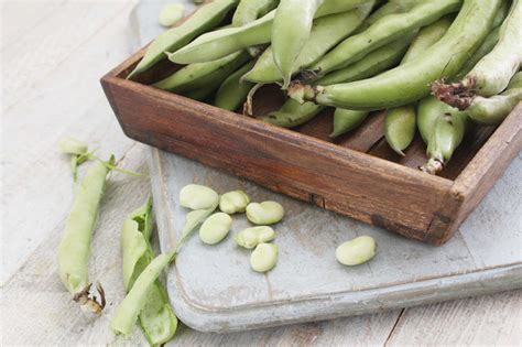 豆角的豆子 茄子豆角 大山谷图库