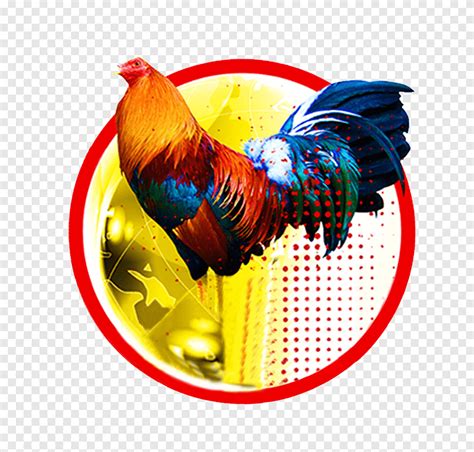 Rooster Modern Game Fowl Gamecock Cockfight Fig Rooster Festival Game