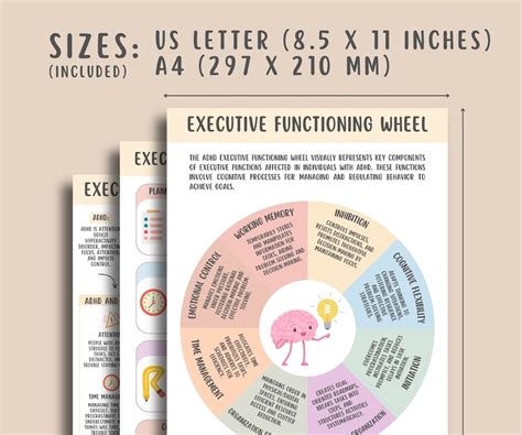 Adhd Executive Functioning Bundle 250 Items Self Regulation