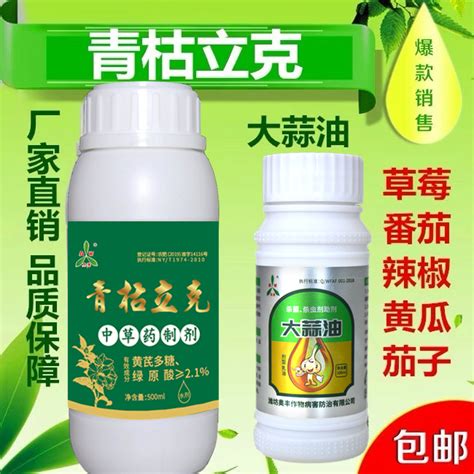 番茄青枯病防治经验丰富 八方资源网