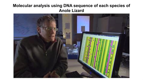 Darwins Microevolution And Macroevolution No Videos Chaidir Adam 2018 Ppt