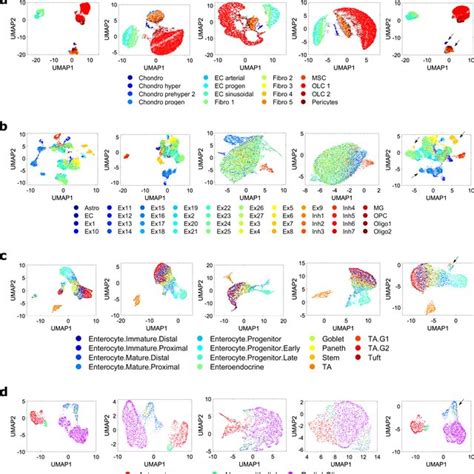 Low Dimensional Visualization Of Imputed Data From Various Methods Umap