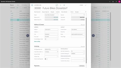 Business Central User Guide