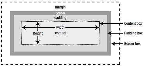 Css Box Model Basicsbehind