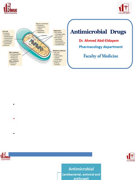 Lecture 6 Antimicrobial Therapy Pdf