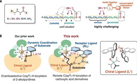 Retracted Asymmetric Remote Ch Borylation Of Aliphatic Amides And Esters With A Modular