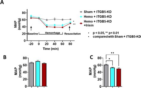 Inhibition Of Integrin Alpha V Beta 5 Mitigates The Protective Effect