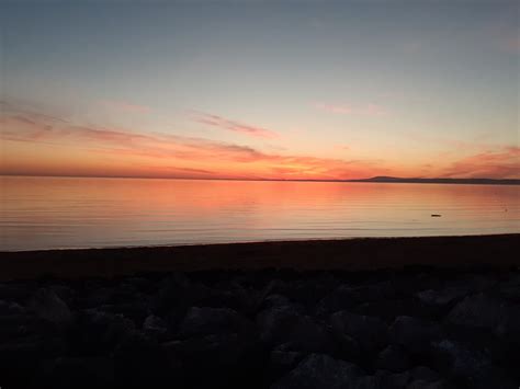 A Table Of Results For Bayesian Mixed Effects Models Grouping Variables And Specifying Random