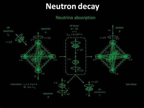 Neutron Decay Artofit