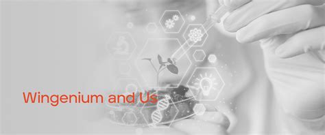 Wingenium And Us — Wingenium